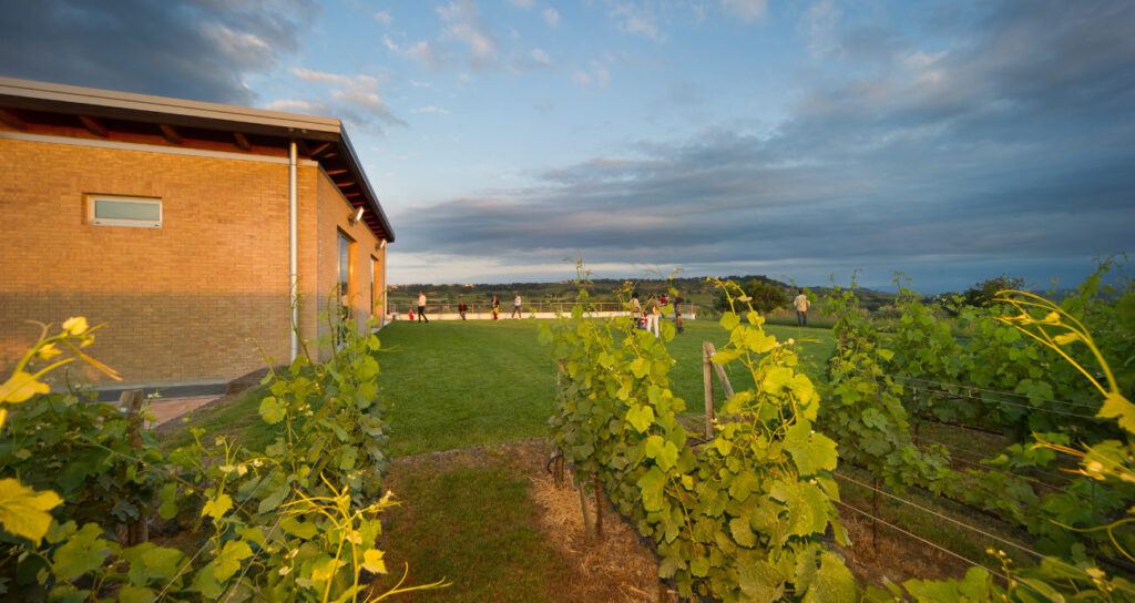 The history of the Collefrisio winery | Frisa | Chieti | Abruzzo