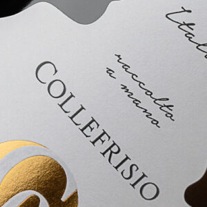 The wines of the Collefrisio winery | The complete line of our best wines