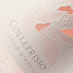 The wines of the Collefrisio winery | The complete line of our best wines
