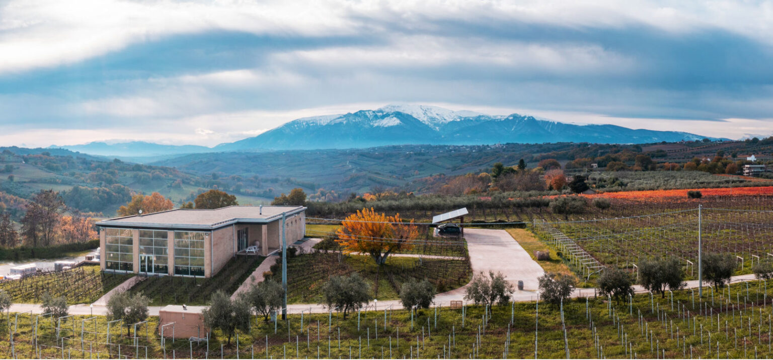 Homepage - Collefrisio