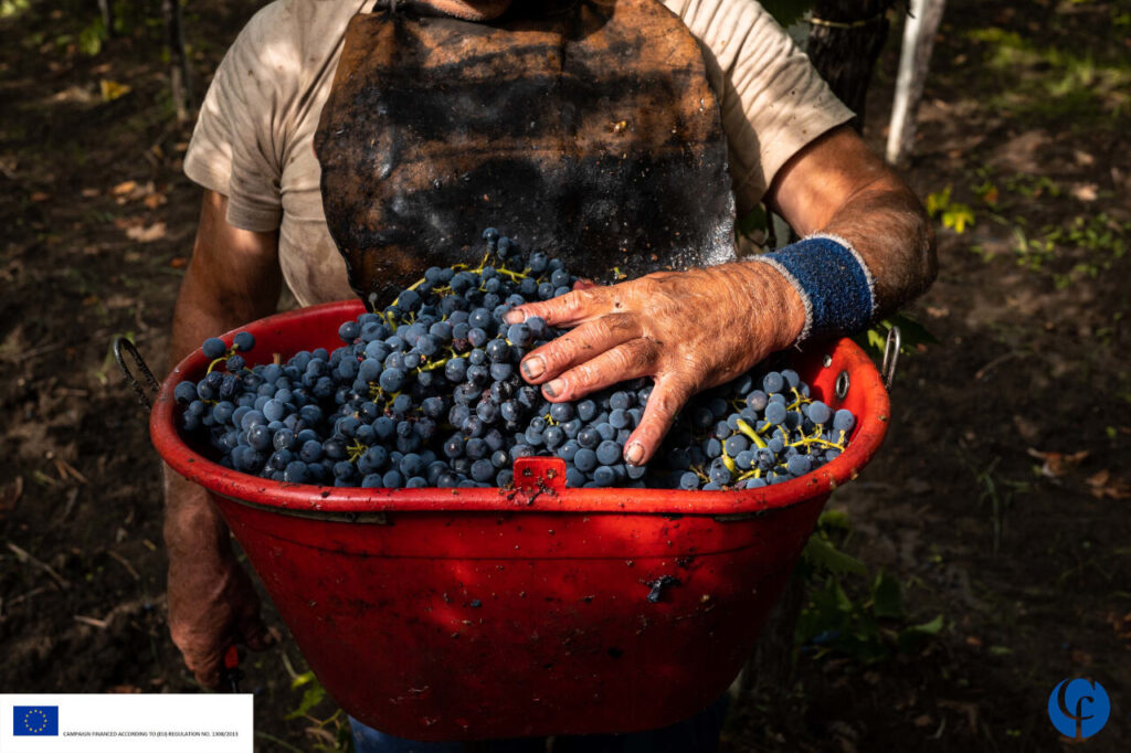 Gallery - Collefrisio